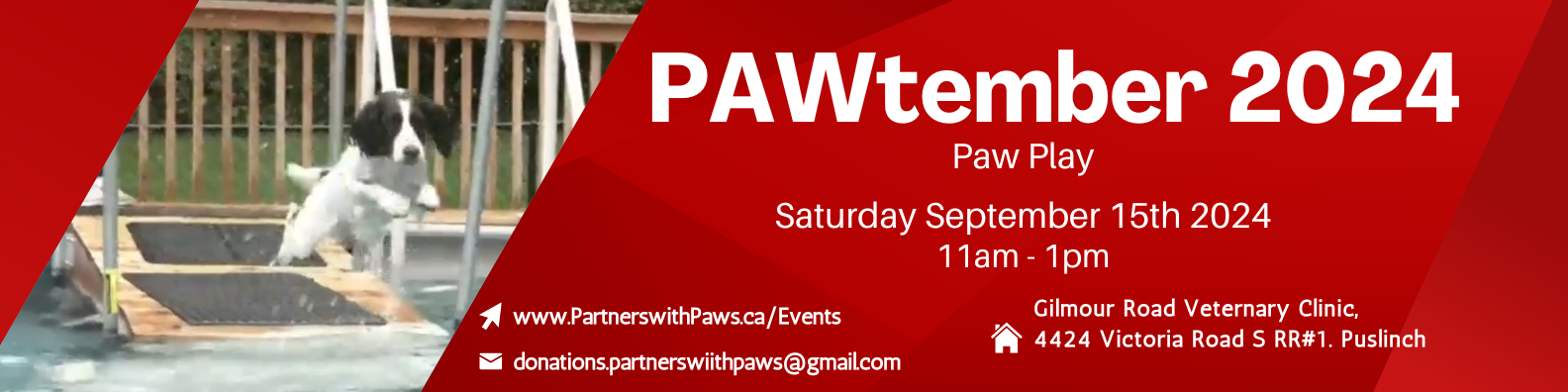Paw Play – Partners with Paws