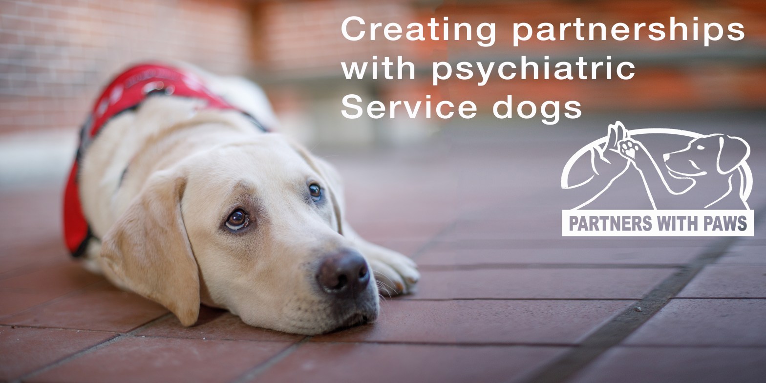 Partners with Paws – A non-profit psychiatric service dog organization ...